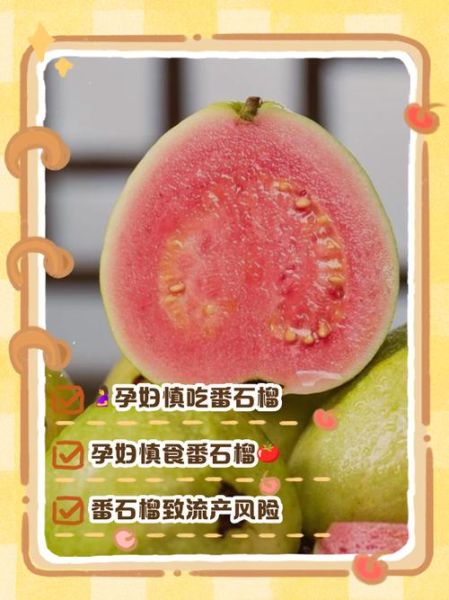 孕妇能吃番石榴吗_孕期吃番石榴的注意事项-第2张图片-山城妙识 孕妇能吃番石榴吗_孕期吃番石榴的注意事项-第2张图片-山城妙识