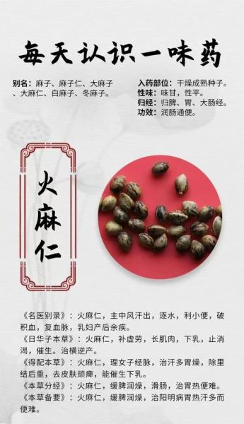 火麻子图片功效与作用_火麻子怎么吃最养生-第3张图片-山城妙识 火麻子图片功效与作用_火麻子怎么吃最养生-第3张图片-山城妙识