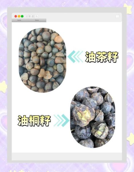 茶油炒饭加盟骗局有哪些套路_如何识别真假品牌-第1张图片-山城妙识