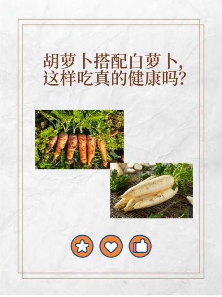 白萝卜和胡萝卜能一起吃吗_白萝卜和胡萝卜相克是真的吗-第1张图片-山城妙识