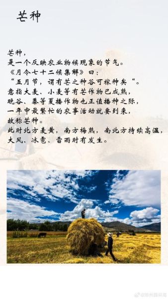 芒种是什么季节_芒种节气特点-第1张图片-山城妙识 芒种是什么季节_芒种节气特点-第1张图片-山城妙识