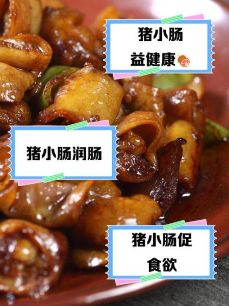 猪小肠的功效与作用_猪小肠怎么吃最营养-第1张图片-山城妙识