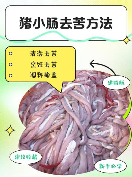 猪小肠的功效与作用_猪小肠怎么吃最营养-第2张图片-山城妙识