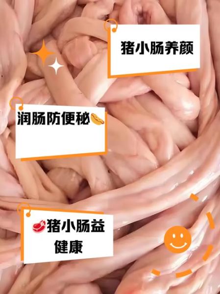 猪小肠的功效与作用_猪小肠怎么吃最营养-第3张图片-山城妙识