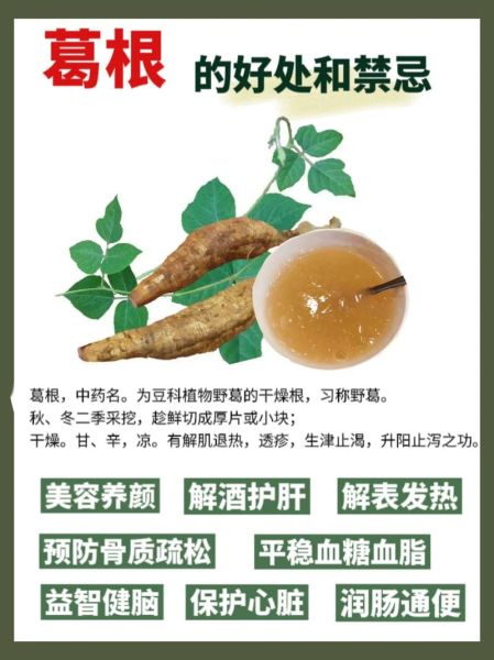 粉葛不能和什么一起吃_粉葛的禁忌人群有哪些-第1张图片-山城妙识 粉葛不能和什么一起吃_粉葛的禁忌人群有哪些-第1张图片-山城妙识