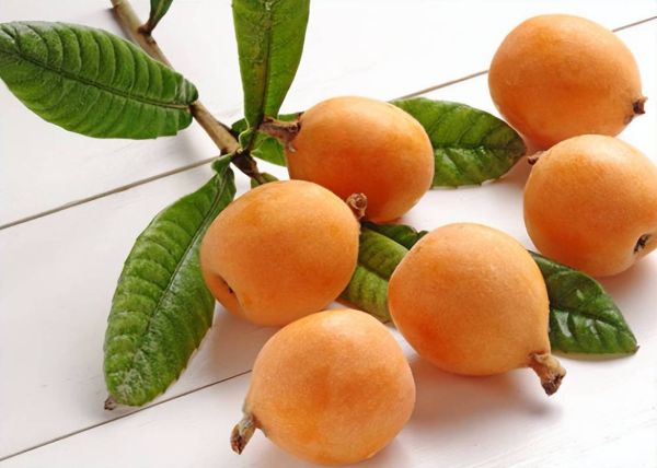 润肺的水果有哪些_润肺吃什么水果好-第2张图片-山城妙识 润肺的水果有哪些_润肺吃什么水果好-第2张图片-山城妙识