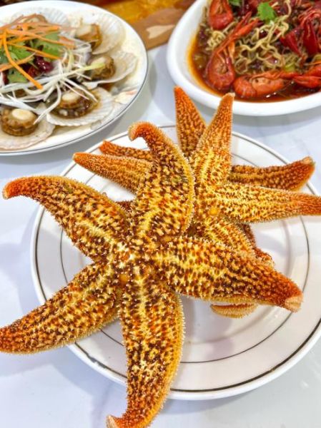 干海星怎么吃_干海星泡多久才能吃-第1张图片-山城妙识 干海星怎么吃_干海星泡多久才能吃-第1张图片-山城妙识
