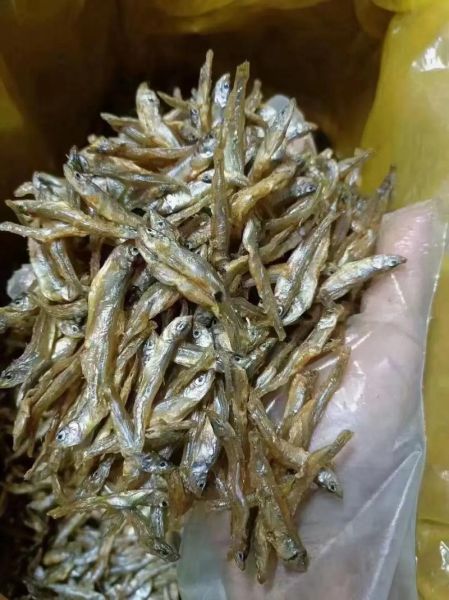 干货小虾米怎么做好吃_小虾米炒什么最香-第3张图片-山城妙识 干货小虾米怎么做好吃_小虾米炒什么最香-第3张图片-山城妙识