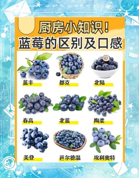 蓝莓吃多了有什么副作用_蓝莓一天吃多少合适-第2张图片-山城妙识 蓝莓吃多了有什么副作用_蓝莓一天吃多少合适-第2张图片-山城妙识