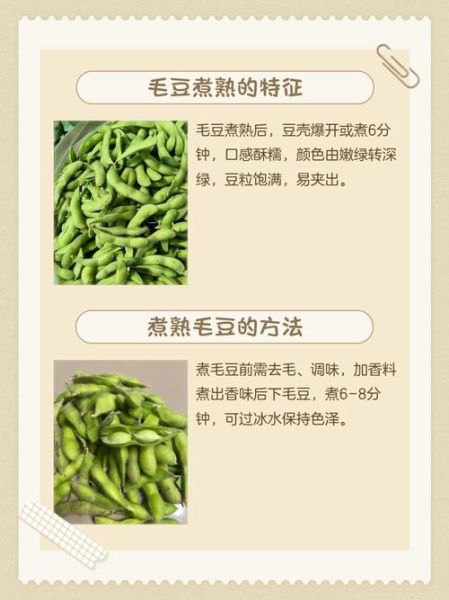 盐水毛豆煮多长时间_怎么判断毛豆熟没熟-第2张图片-山城妙识