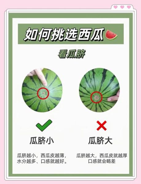 如何挑选西瓜小窍门_西瓜怎么挑才甜-第1张图片-山城妙识