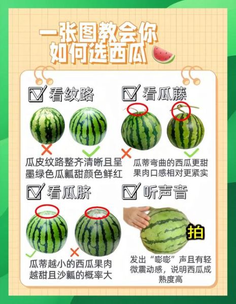 如何挑选西瓜小窍门_西瓜怎么挑才甜-第2张图片-山城妙识