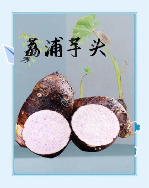 广西芋头有什么功效_广西芋头怎么吃最好-第1张图片-山城妙识 广西芋头有什么功效_广西芋头怎么吃最好-第1张图片-山城妙识