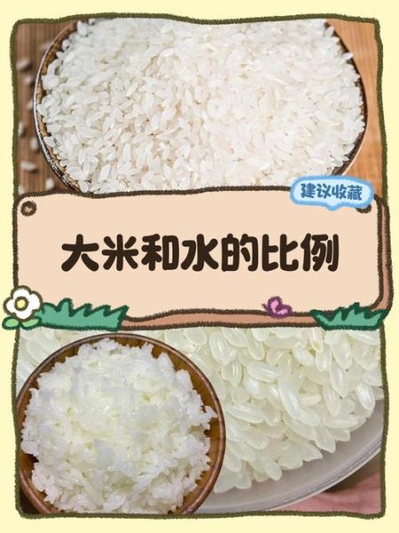 大米粥放多少水_米水比例怎么掌握-第3张图片-山城妙识 大米粥放多少水_米水比例怎么掌握-第3张图片-山城妙识