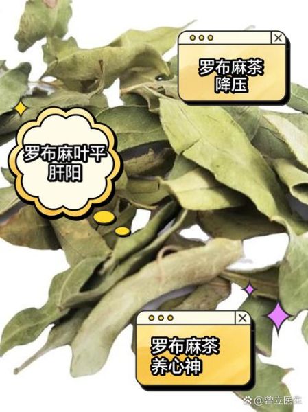 罗布麻的副作用有哪些_罗布麻茶长期喝安全吗-第2张图片-山城妙识 罗布麻的副作用有哪些_罗布麻茶长期喝安全吗-第2张图片-山城妙识