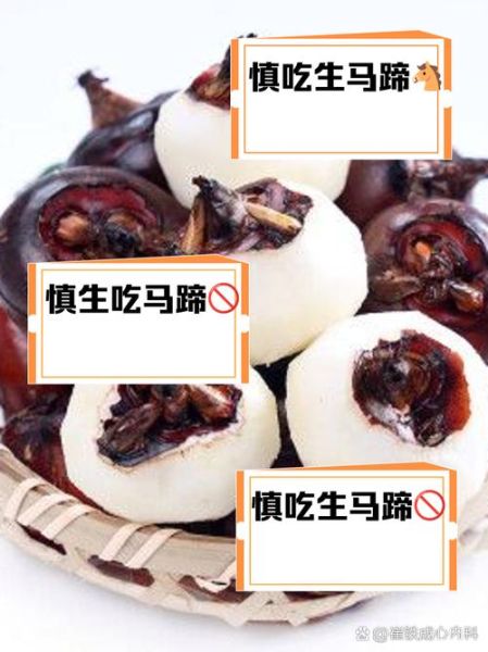 马蹄生吃有什么危害_生吃马蹄会感染寄生虫吗-第1张图片-山城妙识 马蹄生吃有什么危害_生吃马蹄会感染寄生虫吗-第1张图片-山城妙识