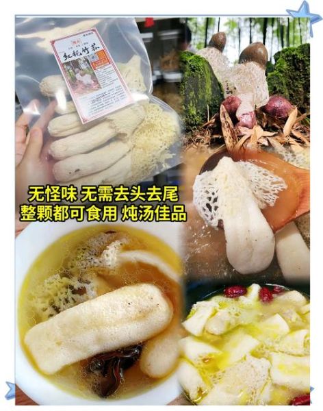 红竹荪图片大全_红竹荪和竹荪的区别-第1张图片-山城妙识 红竹荪图片大全_红竹荪和竹荪的区别-第1张图片-山城妙识