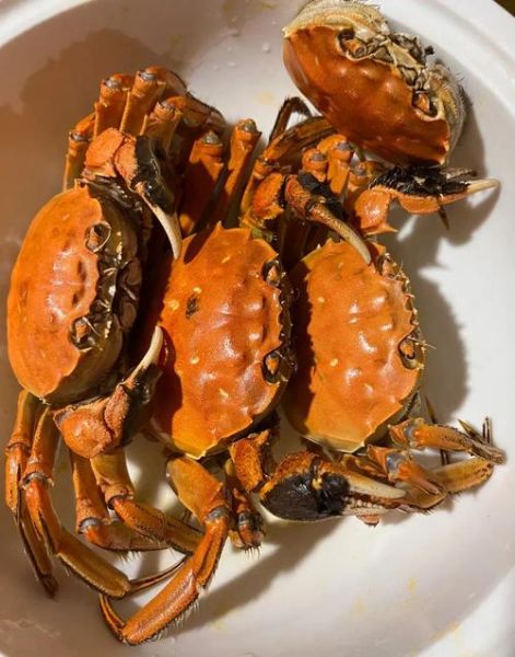 军山湖大闸蟹什么时候上市_最佳品尝期-第2张图片-山城妙识