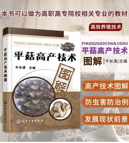 平菇栽培技术_平菇出菇慢怎么办-第3张图片-山城妙识 平菇栽培技术_平菇出菇慢怎么办-第3张图片-山城妙识