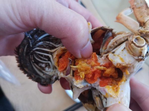 军山湖大闸蟹什么时候上市_最佳品尝期-第3张图片-山城妙识