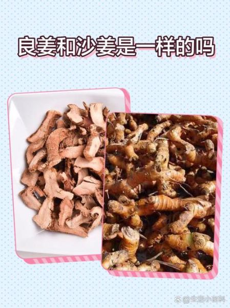 沙姜致癌是真的吗_沙姜吃多了会致癌吗-第2张图片-山城妙识 沙姜致癌是真的吗_沙姜吃多了会致癌吗-第2张图片-山城妙识