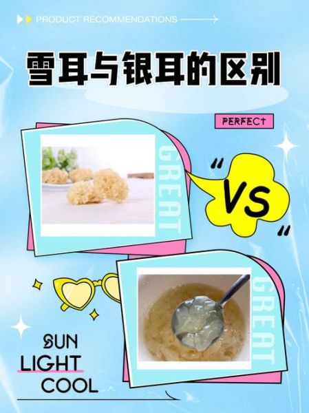 雪耳和银耳的区别_哪个更营养-第1张图片-山城妙识 雪耳和银耳的区别_哪个更营养-第1张图片-山城妙识