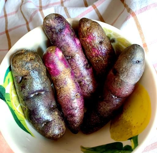 紫土豆怎么吃_紫土豆的做法大全-第1张图片-山城妙识