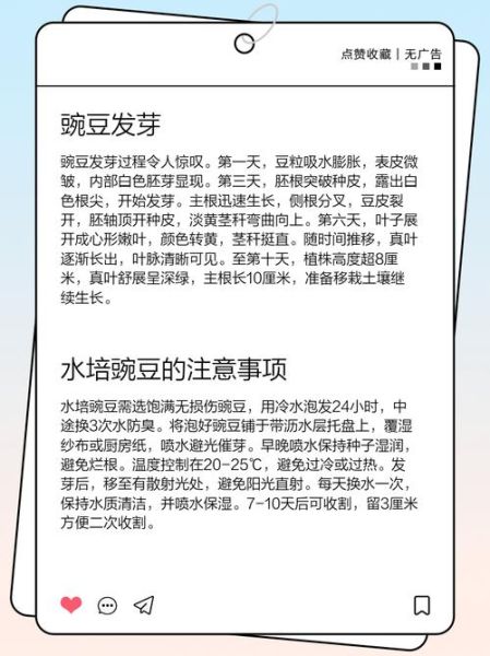 豌豆芽怎么下载_豌豆芽下载安全吗-第2张图片-山城妙识