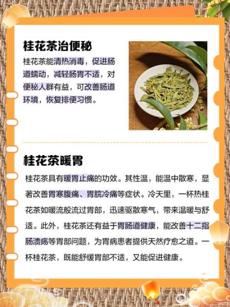 喝桂花茶的好处和坏处_长期饮用有哪些副作用-第2张图片-山城妙识