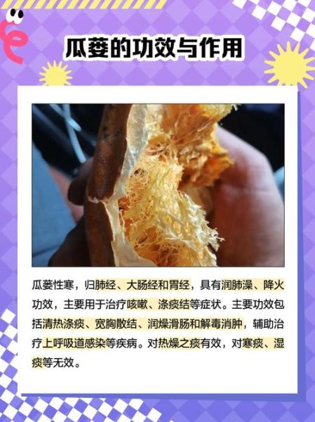 瓜蒌花有什么功效_瓜蒌花怎么泡水喝-第2张图片-山城妙识