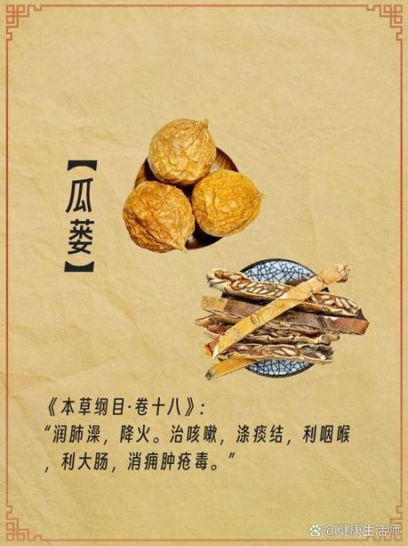 瓜蒌花有什么功效_瓜蒌花怎么泡水喝-第1张图片-山城妙识