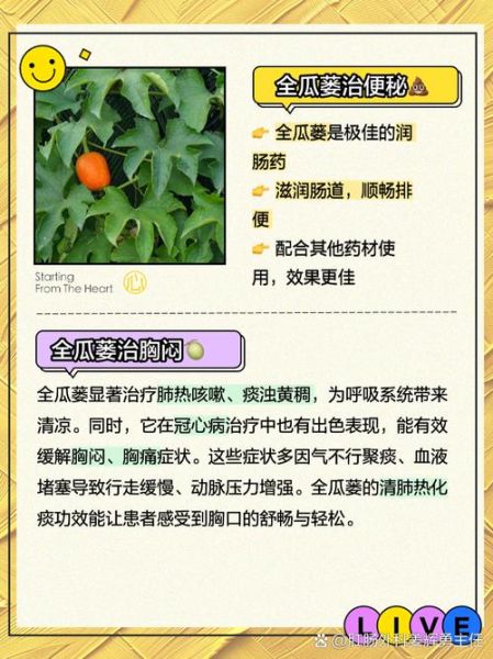 瓜蒌花有什么功效_瓜蒌花怎么泡水喝-第3张图片-山城妙识