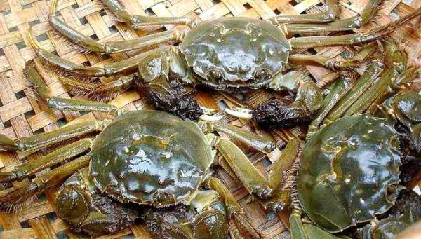 固城湖大闸蟹什么时候上市_固城湖大闸蟹上市时间2024-第1张图片-山城妙识 固城湖大闸蟹什么时候上市_固城湖大闸蟹上市时间2024-第1张图片-山城妙识