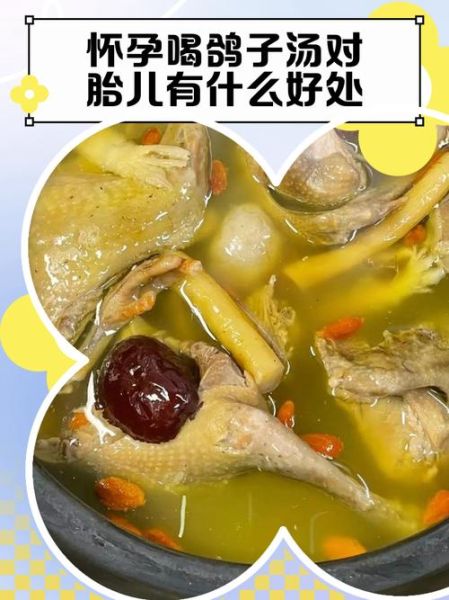 孕妇不能喝鸽子汤吗_孕妇喝鸽子汤有什么危害-第1张图片-山城妙识 孕妇不能喝鸽子汤吗_孕妇喝鸽子汤有什么危害-第1张图片-山城妙识