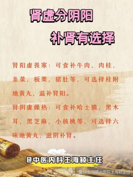 如何养肾护肾_肾虚怎么调理-第1张图片-山城妙识 如何养肾护肾_肾虚怎么调理-第1张图片-山城妙识