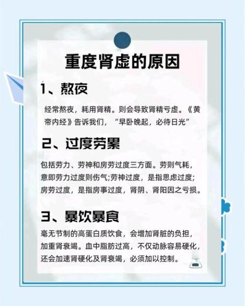 如何养肾护肾_肾虚怎么调理-第3张图片-山城妙识 如何养肾护肾_肾虚怎么调理-第3张图片-山城妙识