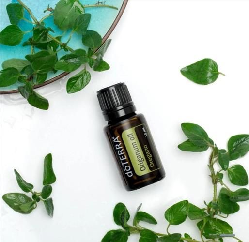 牛至叶的功效与作用_牛至叶怎么吃-第2张图片-山城妙识 牛至叶的功效与作用_牛至叶怎么吃-第2张图片-山城妙识