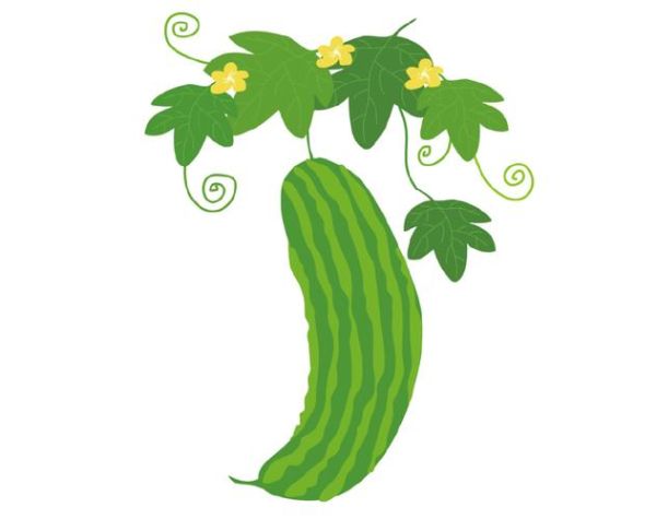 丝瓜图片大全卡通_丝瓜卡通怎么画-第3张图片-山城妙识