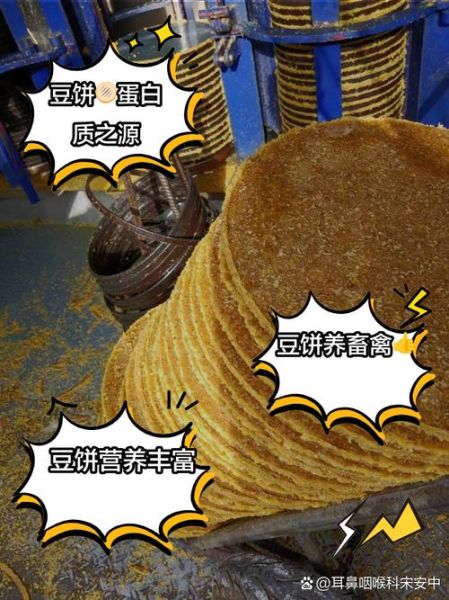 豆饼饲料怎么喂牛_豆饼饲料价格多少钱一吨-第2张图片-山城妙识 豆饼饲料怎么喂牛_豆饼饲料价格多少钱一吨-第2张图片-山城妙识