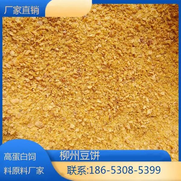 豆饼饲料怎么喂牛_豆饼饲料价格多少钱一吨-第3张图片-山城妙识 豆饼饲料怎么喂牛_豆饼饲料价格多少钱一吨-第3张图片-山城妙识