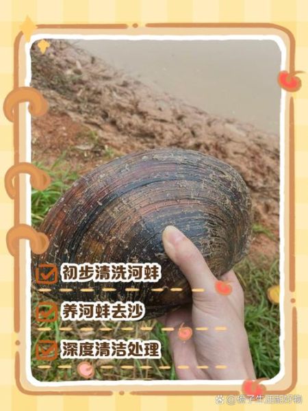 河蚌怎么清洗_河蚌前期处理视频教程-第1张图片-山城妙识 河蚌怎么清洗_河蚌前期处理视频教程-第1张图片-山城妙识