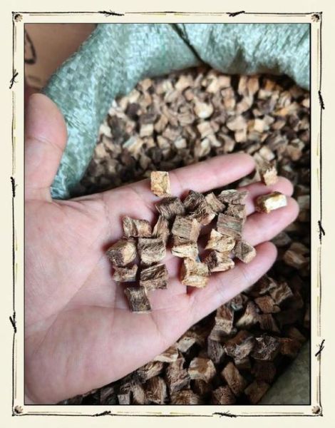 粉葛别名有哪些_粉葛和葛根是不是同一种-第2张图片-山城妙识