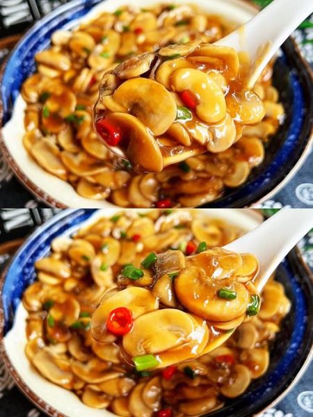 食用蘑菇的种类_哪些蘑菇适合日常烹饪-第3张图片-山城妙识 食用蘑菇的种类_哪些蘑菇适合日常烹饪-第3张图片-山城妙识