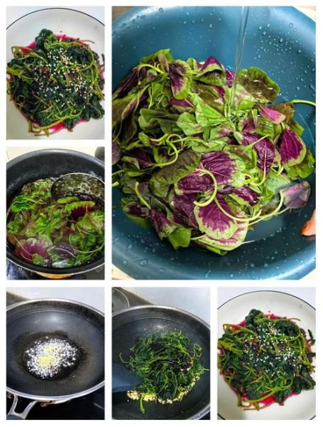 蒸马苋菜怎么做_蒸马苋菜需要焯水吗-第3张图片-山城妙识 蒸马苋菜怎么做_蒸马苋菜需要焯水吗-第3张图片-山城妙识