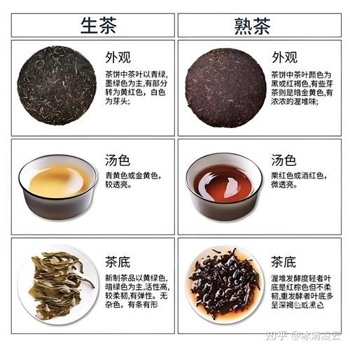 普洱茶生茶的功效与作用_生茶适合什么人喝-第2张图片-山城妙识 普洱茶生茶的功效与作用_生茶适合什么人喝-第2张图片-山城妙识