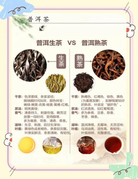 普洱茶生茶的功效与作用_生茶适合什么人喝-第3张图片-山城妙识 普洱茶生茶的功效与作用_生茶适合什么人喝-第3张图片-山城妙识