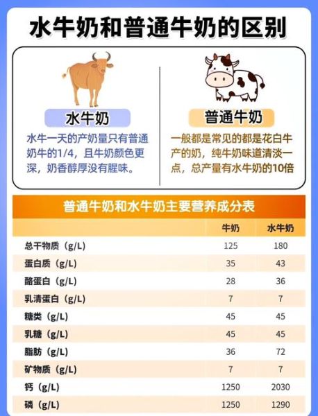 纯牛奶和鲜牛奶有什么区别_哪个营养更高-第1张图片-山城妙识 纯牛奶和鲜牛奶有什么区别_哪个营养更高-第1张图片-山城妙识