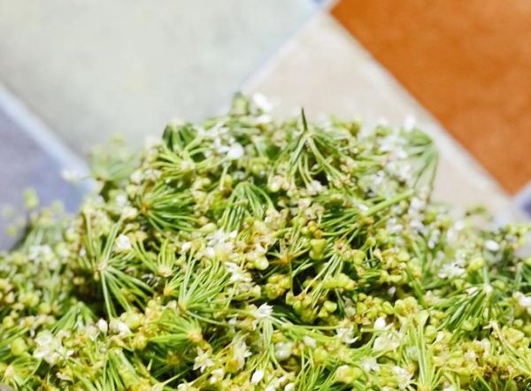 韭花怎么腌制好吃_韭花腌制方法窍门-第3张图片-山城妙识 韭花怎么腌制好吃_韭花腌制方法窍门-第3张图片-山城妙识