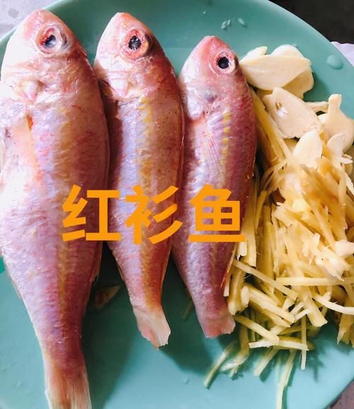 红衫鱼怎么做好吃_红衫鱼的营养价值-第3张图片-山城妙识 红衫鱼怎么做好吃_红衫鱼的营养价值-第3张图片-山城妙识