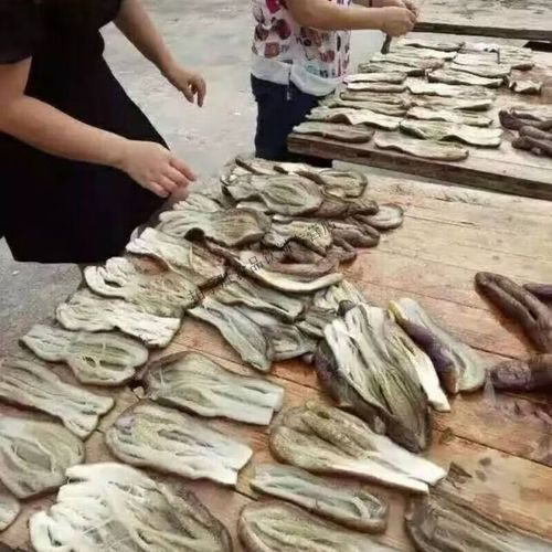 茄子晒干怎么晒_茄子晒干的做法步骤-第1张图片-山城妙识